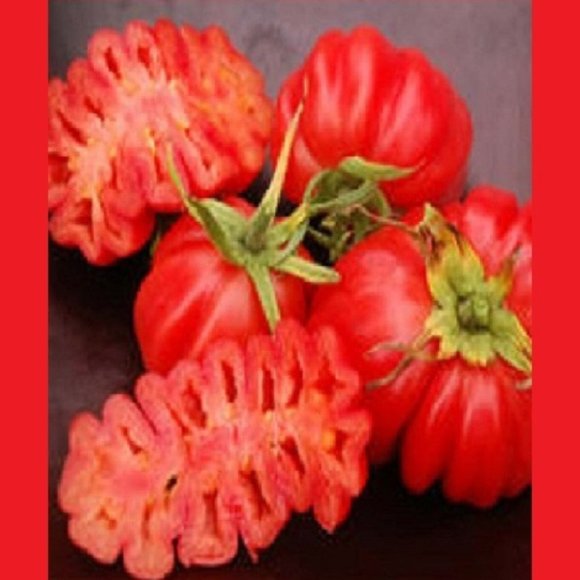 Other | 5 Seeds Mexican Solanum Lycopersicum Zapotec Ribbed Pleated ...